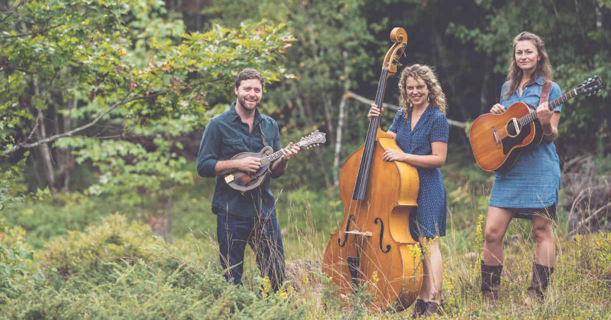 Home - Old Hat Stringband